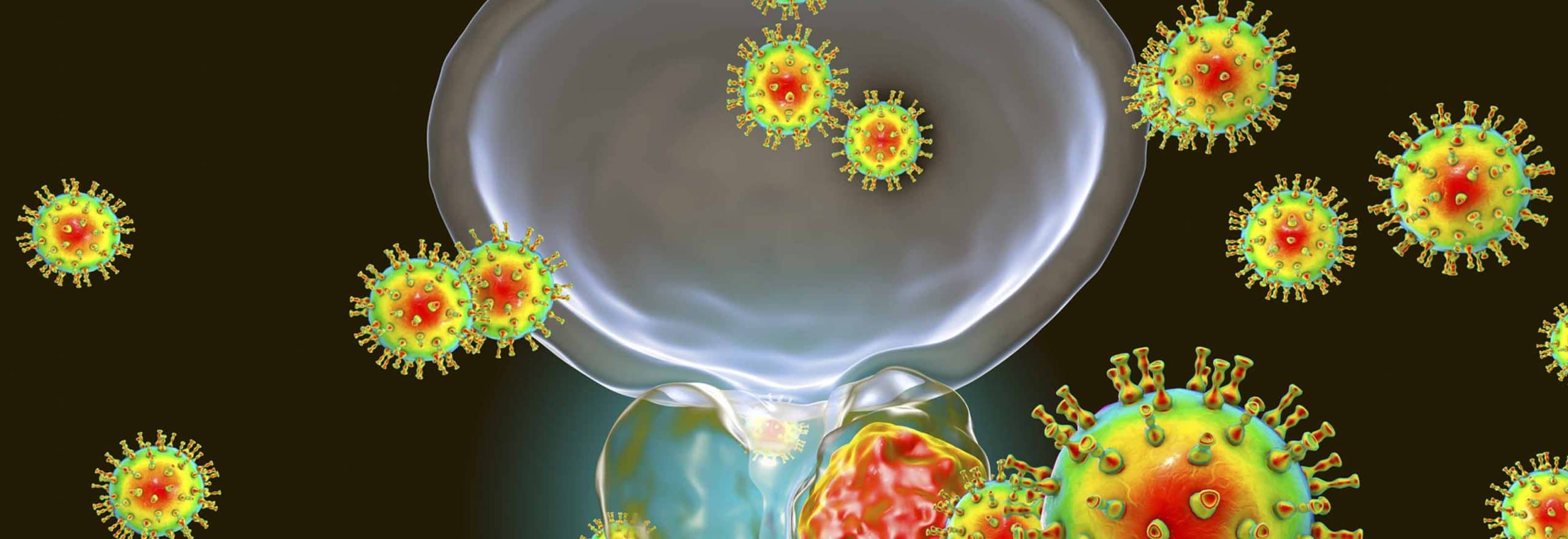 Infección Urinaria: Síntomas, Causas y Tipos • Portal de salud