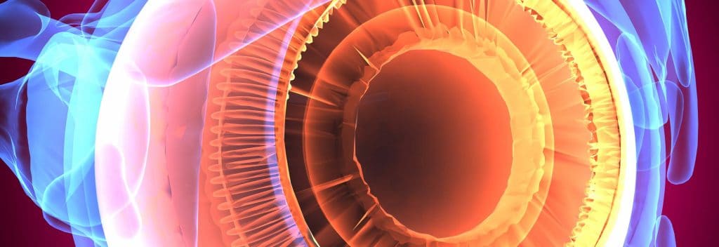 Arco senil en los ojos: Sus causas y tratamiento • Tus dudas de salud